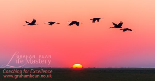 Inviting Possibility: You Don't Know What You Don't Know