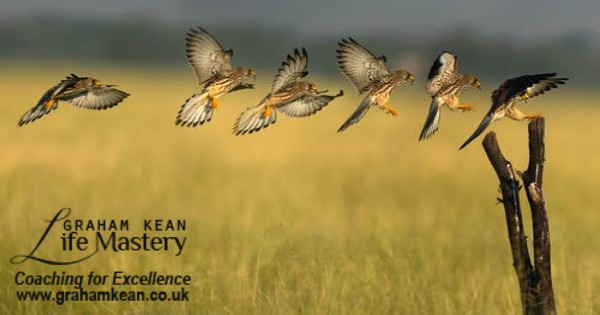 Expat Coaching Singapore | Expat Coach | Graham Kean